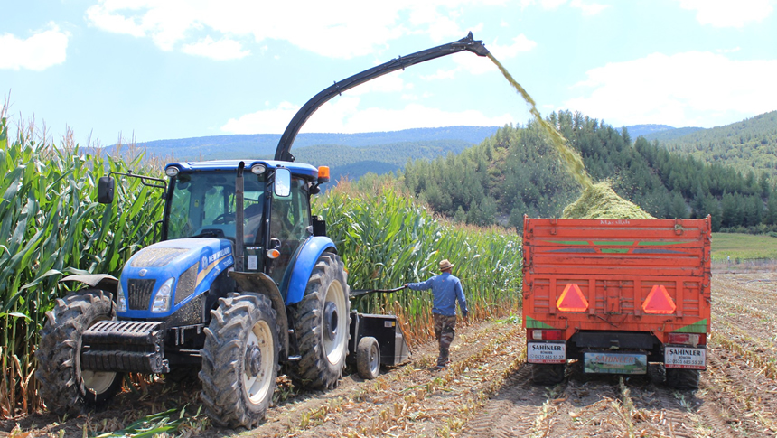 SİLAJLIK MISIR HASADI BAŞLADI - Karabük Net Haber