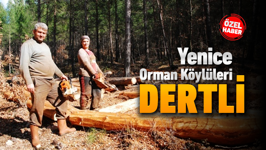 YENİCE ORMAN KÖYLÜLERİ SORUNLARIN GİDERİLMESİNİ BEKLİYOR - Karabük Net Haber